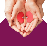 Nephro Care – Pulse Nutriscience